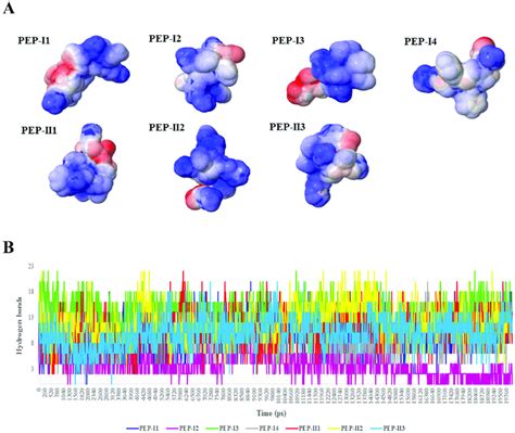 calculation of electrostatic potentials around the peptides and h bond download scientific