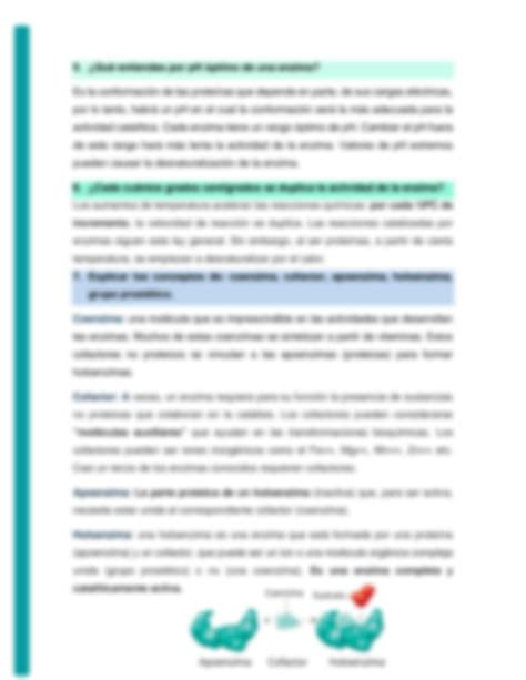 SOLUTION Estructura De Las Prote Nas Enzimas Y Cidos Nucleicos Studypool