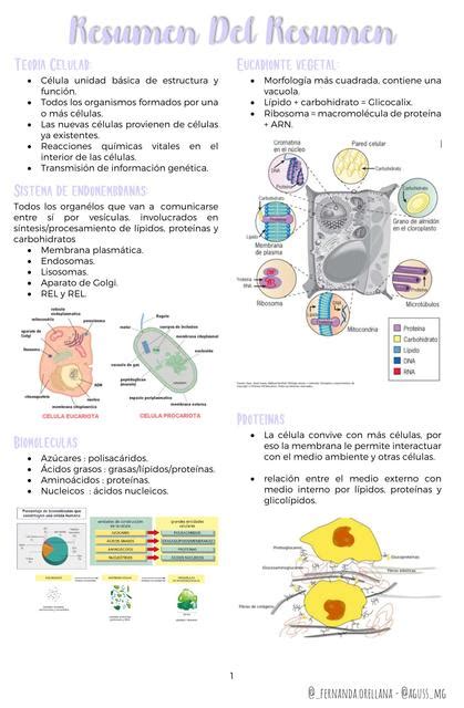 Resumen De Biolog A Celular Camila Lhuan Udocz
