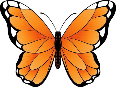 Monarch Butterfly Vector Illustration Beautiful Tropical Butterfly
