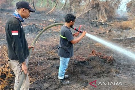 Luas Lahan Gambut Terbakar Di Nagan Raya Capai 26 Hektare ANTARA News