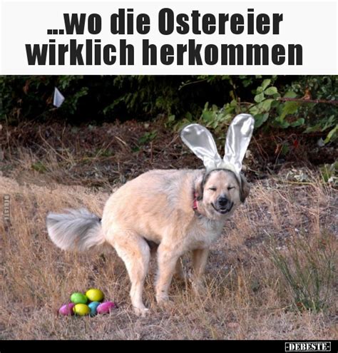 70 Lustige Bilder Osterhase Seite 6 DEBESTE De
