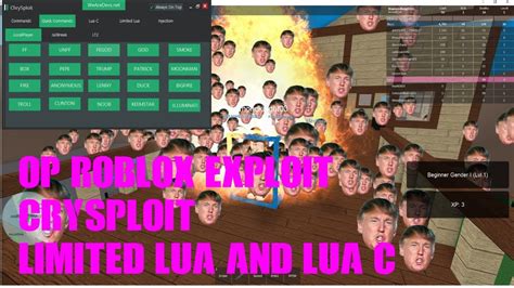 roblox hack chrysploit patched lua c and limited lua script executor youtube