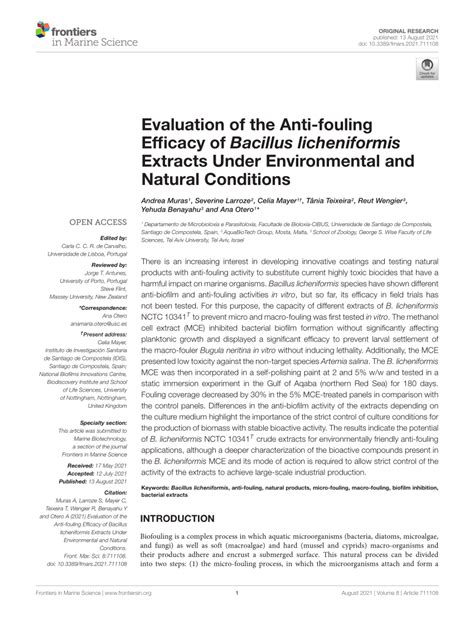 PDF Evaluation Of The Anti Fouling Efficacy Of Bacillus Licheniformis