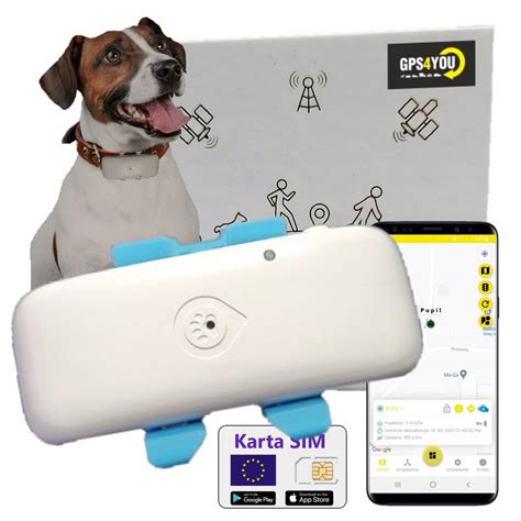 LOKALIZATOR GPS ZWIERZĄT PSA KOTA Zestaw karta SIM Serwer PL Bez