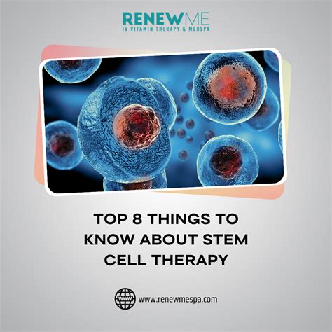 Top Things To Know About Stem Cell Therapy In Los Angeles