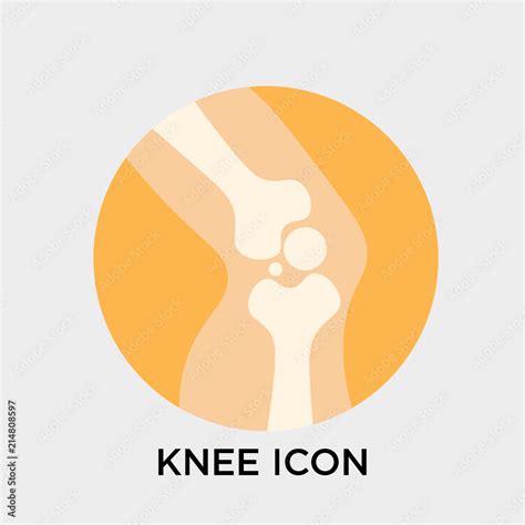 Knee Icon Vector Sign And Symbol Isolated On White Background Knee