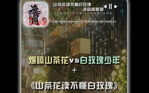 山茶花读不懂白玫瑰 听潮阁 凌音 听潮阁 凌音 哔哩哔哩视频