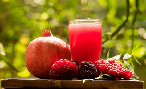 Vitalidade Líquida Suco e Sementes de Romã