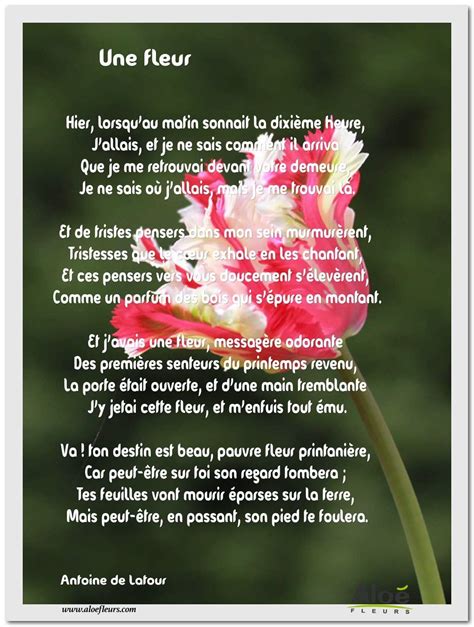 les poèmes en fleurs Message romantique Poeme Poèmes français