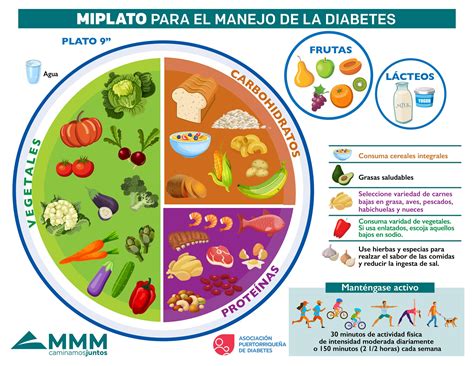 Mi Plato Saludable tu guía de nutrición BrandStudio Primera Hora