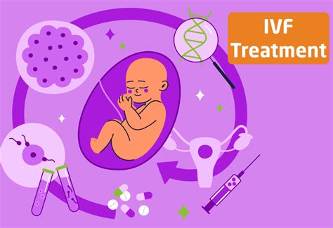 Path To Parenthood A Comprehensive Guide To IVF Treatment