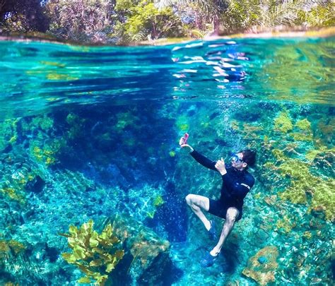 Melhores Passeios Em Bonito Ms Viajar Um Prazer