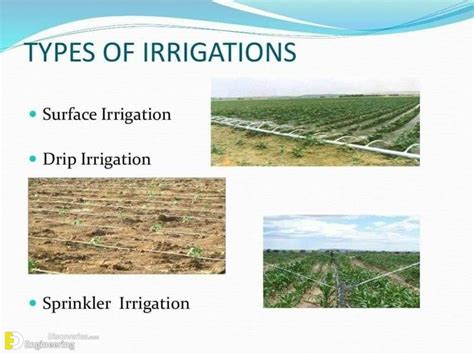 Three Different Types Of Crops In The Field With Caption That Says