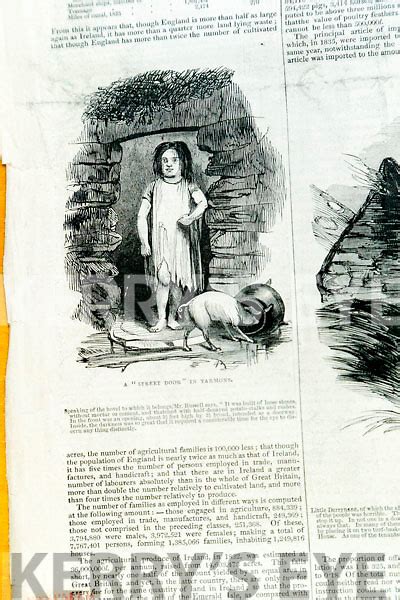 24 Famine Illustrations 4915 Kerry S Eye Photo Sales