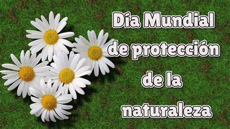 Día Mundial de Protección de la Naturaleza YouTube