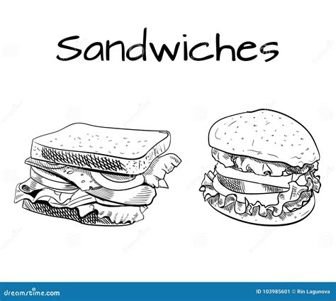 Sandwich And Burger Outline Drawing VECTOR Sketch Stock Vector