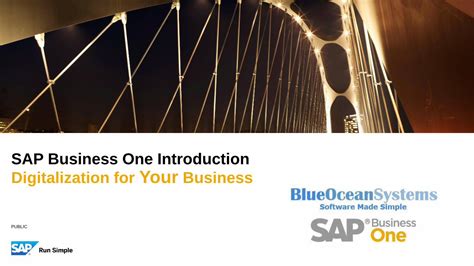 PDF SAP Business One Introduction Your Business Dedicated