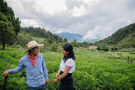 Cambio climático las soluciones basadas en la naturaleza deben