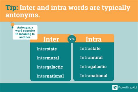 Inter Vs Intra What S The Difference Writing Explained