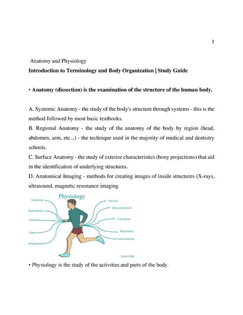 Introduction To Terminology And Body Organization Study Guide