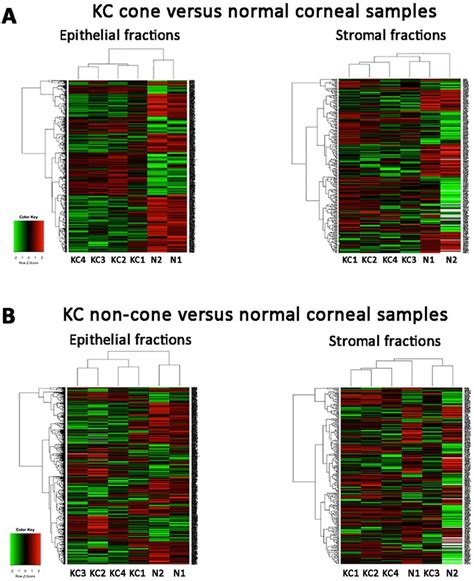 Heat Maps Of An Unsupervised Hierarchical Clustering Of Proteins With