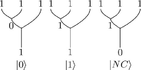 qubit encoded in three fibonacci anyons information is stored in the download scientific