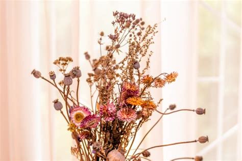 10 Fantastiche Decorazioni Da Fare Con Le Foglie Autunnali Fito