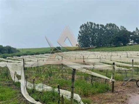 Fazenda 3 salas na Área Rural de São Carlos São Carlos SP ID