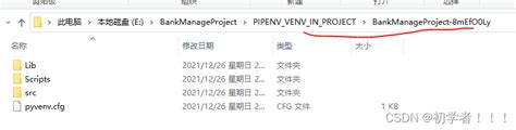 pipenv安装与使用详解 csdn博客