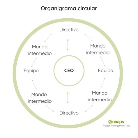 Organigrama circular cómo funciona con un ejemplo real Sinnaps