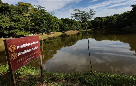 Homem Autuado Em R Mil Por Soltar Peixes Ex Ticos Em Lago De