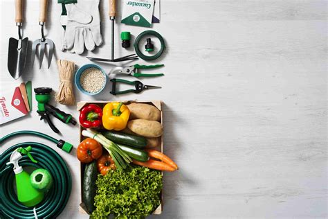 The Most Essential Gardening Tools Every Home Gardener Should Have