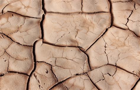 Comment bien identifier son type de sol Les Plantations Létourneau