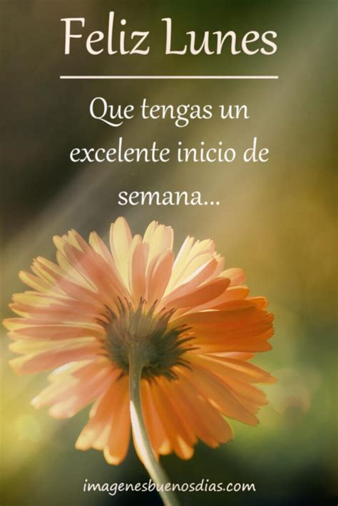 99 Imágenes de Feliz Lunes Imágenes Buenos Días