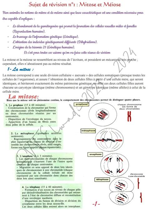 Bac Sc expérimentales Sciences SVT Bac 2024 Sujet de révision n1