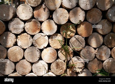 Pile de piers en béton pour la réparation des fondations entreposées à