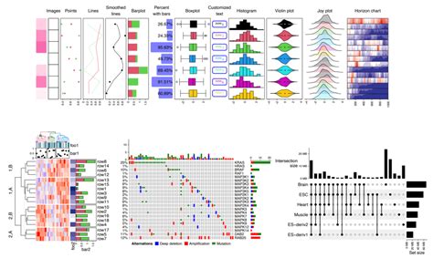 Imeta Complexheatmap Csdn