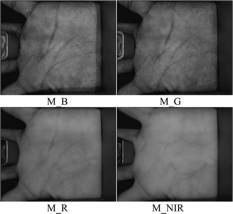 robust and adaptive algorithm for hyperspectral palmprint region of interest extraction zhao