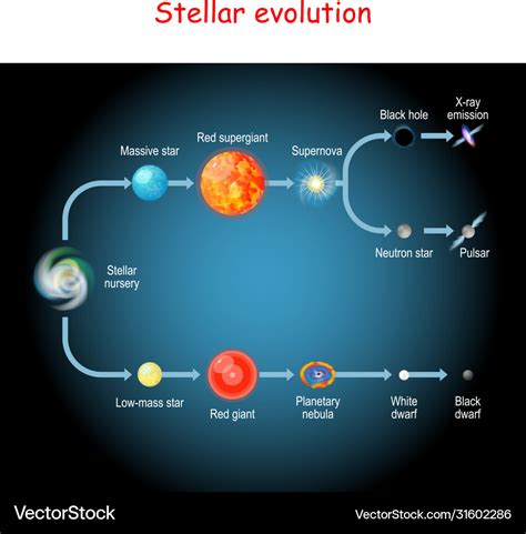 Evolution Of Stars Diagram