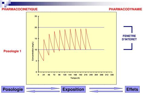relation pharmacodynamie et pharmacocinétique