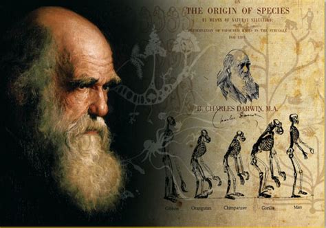 Oggi è il Darwin Day un omaggio alla scienza e all evoluzione