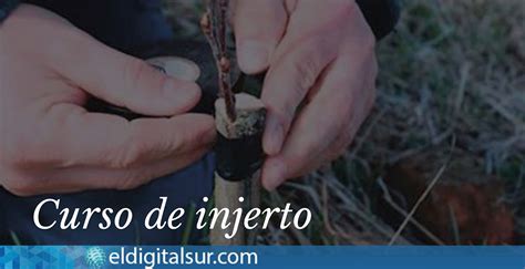 Plazas Limitadas Para El Curso De Poda E Injerto De Frutales En