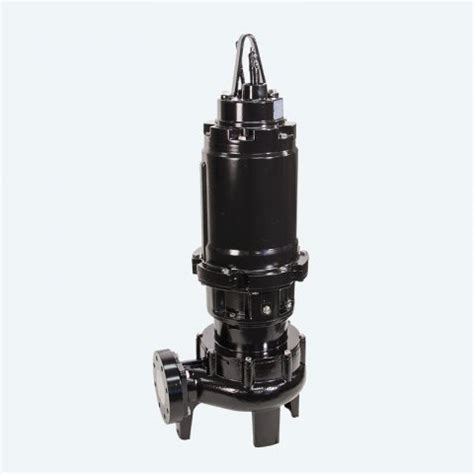 DVFU EBARA Pumps Americas Corp