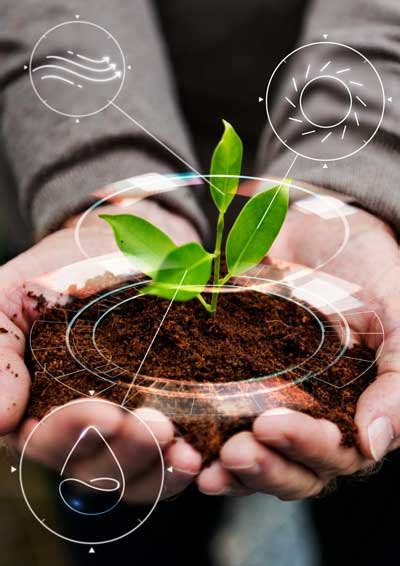 Qué es la Agricultura Ecológica Ventajas y Desventajas ACS Brico