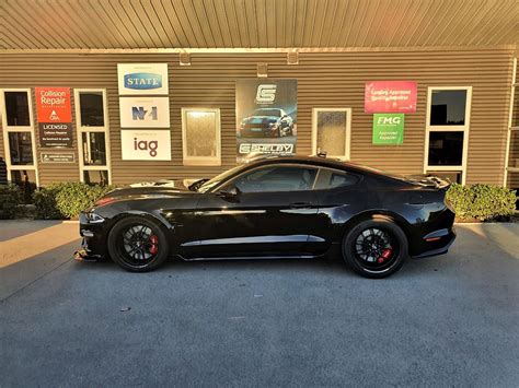 2022 Shelby Widebody Supersnake 5 0l Black Auckland Mustang Owners Club