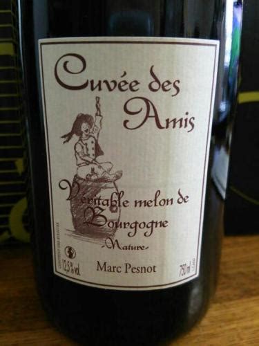 Domaine de la Sénèchalière Cuvée des Amis Nature Vivino US