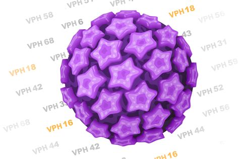 Virus Del Papiloma Humano VPH The Well Project