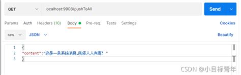 springboot 整合 websocket ，使用stomp协议 ，前后端整合实战 （一） springnoot stomp要淘汰了么 csdn博客