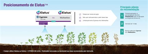 Fungicida Elatus Portal Syngenta
